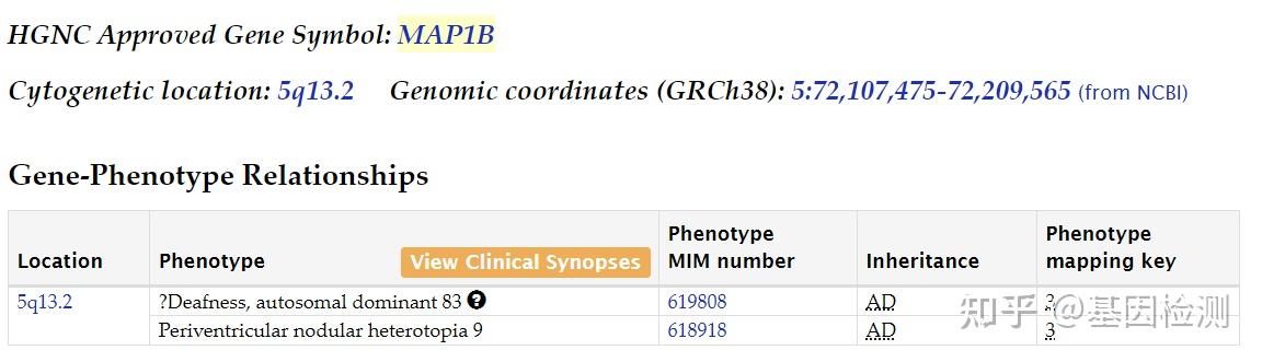 MAP1B基因 - 知乎