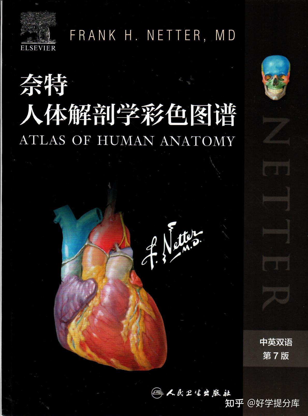 奈特netter人体解剖彩色图谱pdf电子版中英文版最新版第八版免费下载 - 知乎