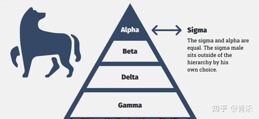 “西格玛男人”是厌女标签吗？真正的“西格玛男人”是怎么样的？ - 知乎