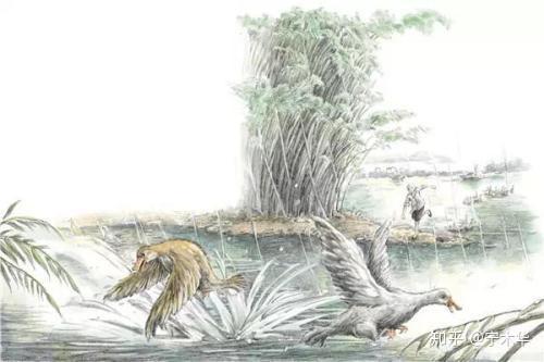 从叙事视角解读《草房子》：儿童视角下，被诗意化的苦难哲学 - 知乎