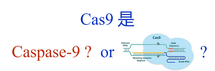 当听到有人说Cas9的时候你的第一想法是Crispr/Cas9还是Caspase-9？ - 知乎