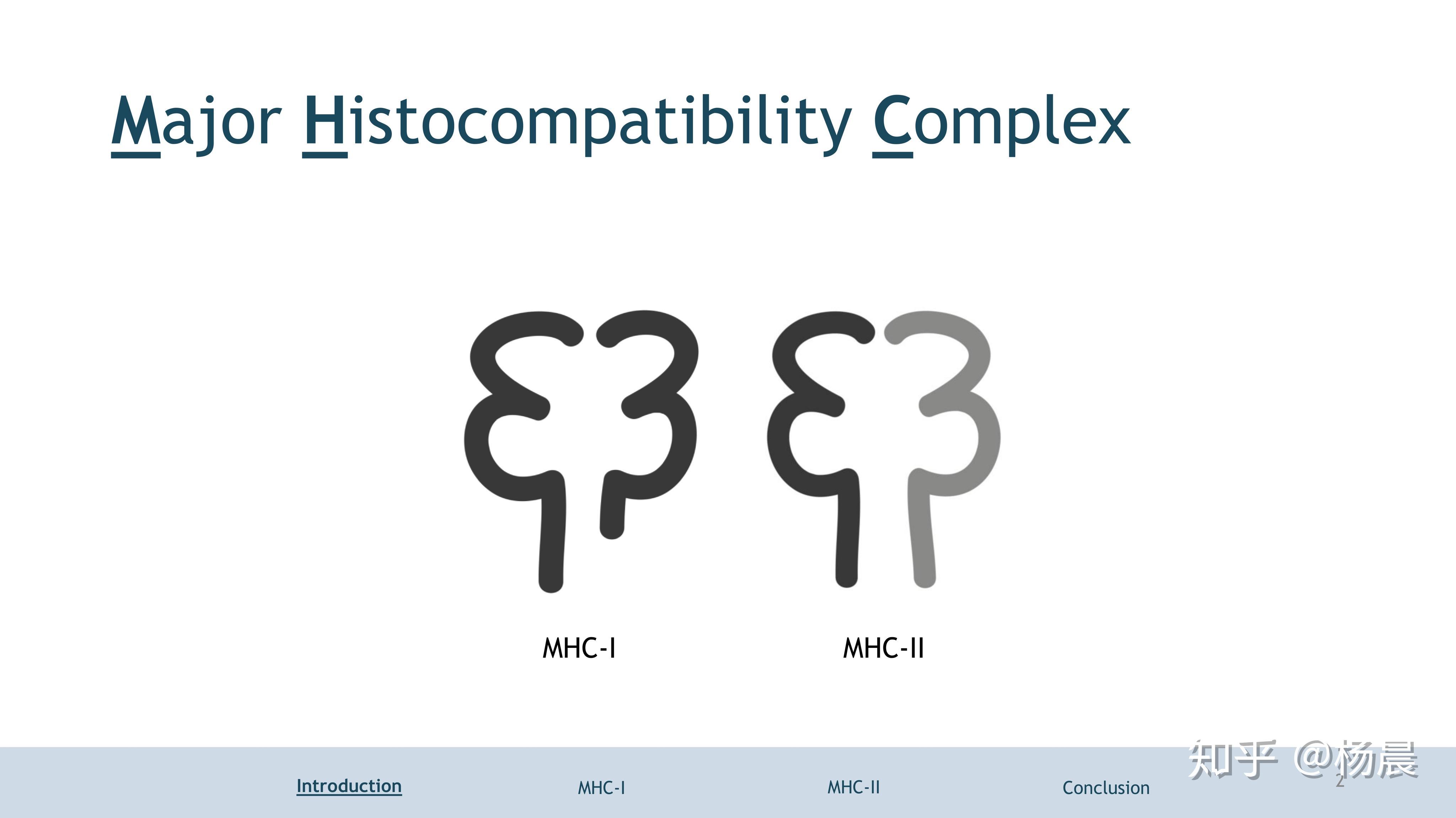MHC在肿瘤发展过程中的作用 - 知乎