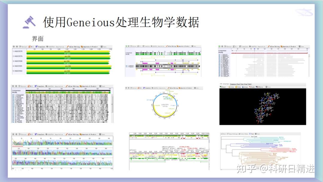 使用Geneious处理生物学数据 - 知乎
