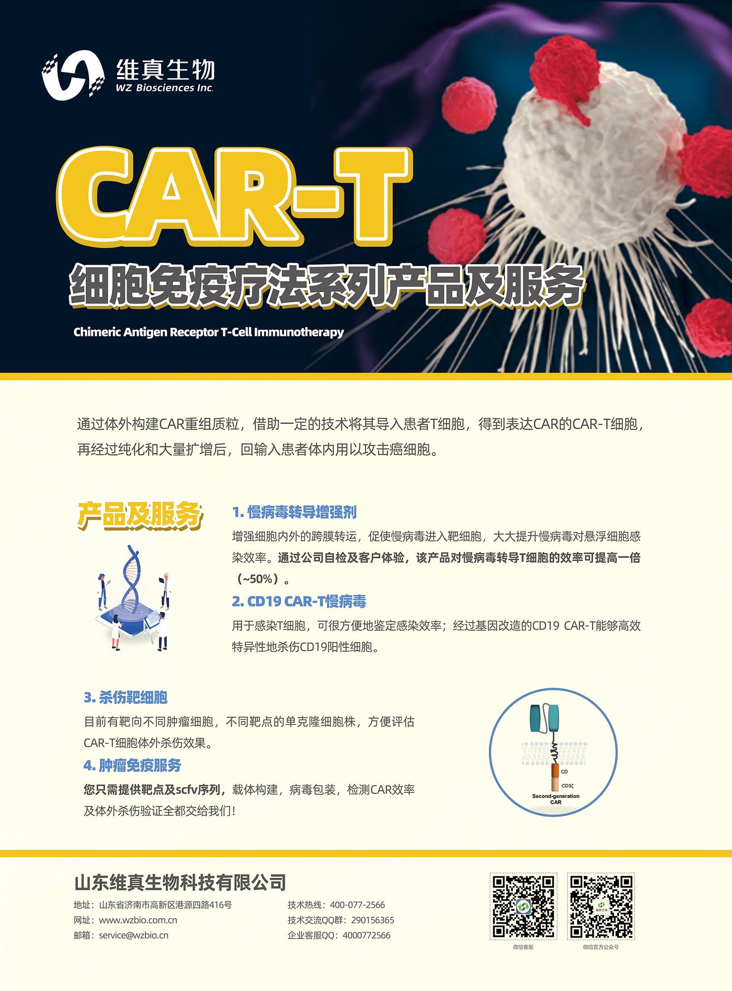 K562-CD19-GFP单克隆细胞系与CD3-CD19（BiTE双抗） - 知乎