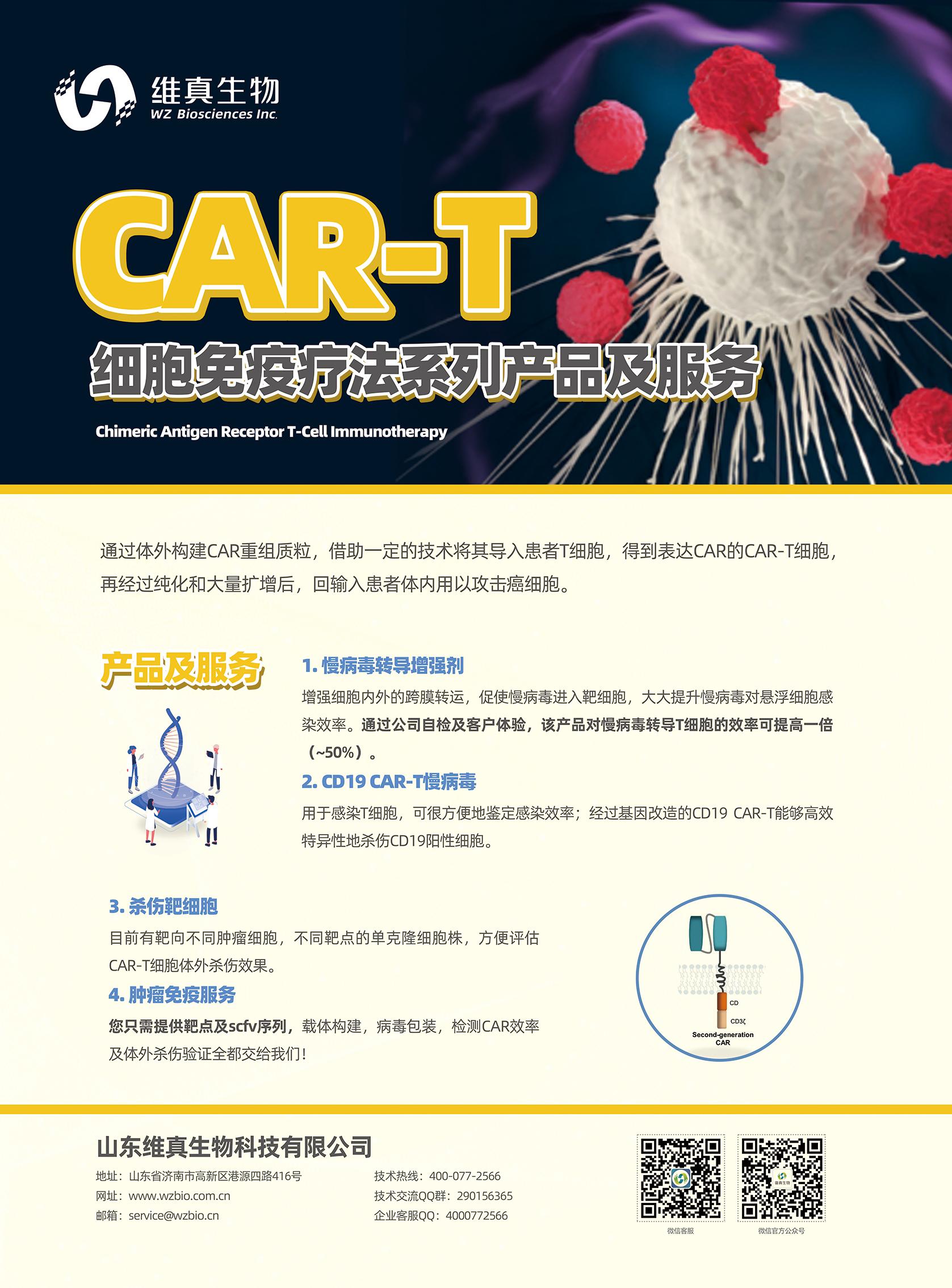 K562-CD19-GFP单克隆细胞系与CD3-CD19（BiTE双抗） - 知乎