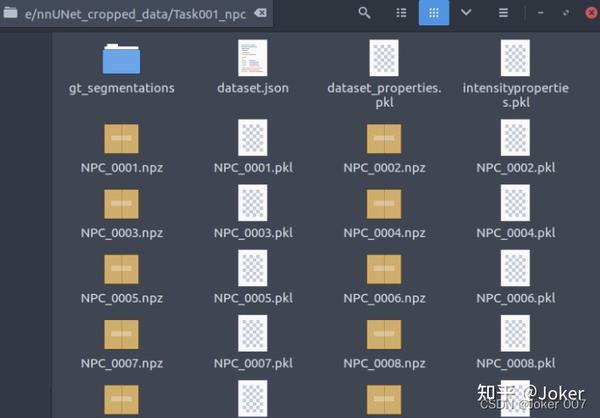分割模型nnUNet学习日记（一）：在Ubuntu系统下如何快速使用nnUNet跑通自己的数据 - 知乎