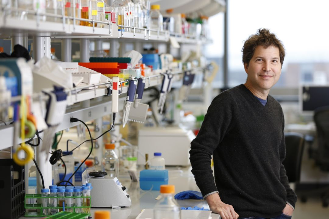 Science：神操作！用人工蛋白质做逻辑门电路，把细胞变成计算机！ - 知乎