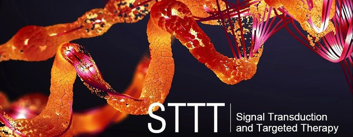 “酰”睹为快！STTT | 中国医科大学赵玉虹/刘彩刚发表SIRT蛋白家族与人类健康和疾病的综述 - 知乎