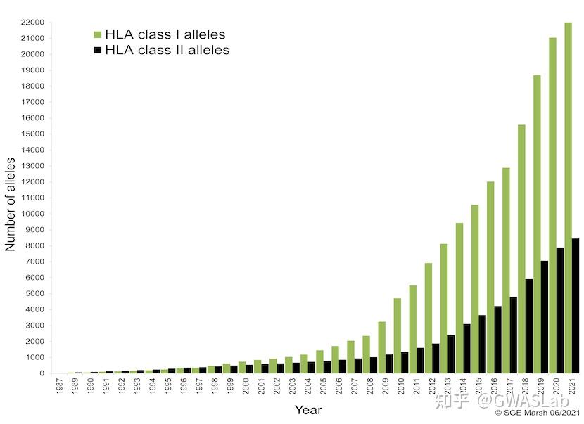 HLA系统命名规则 - 知乎