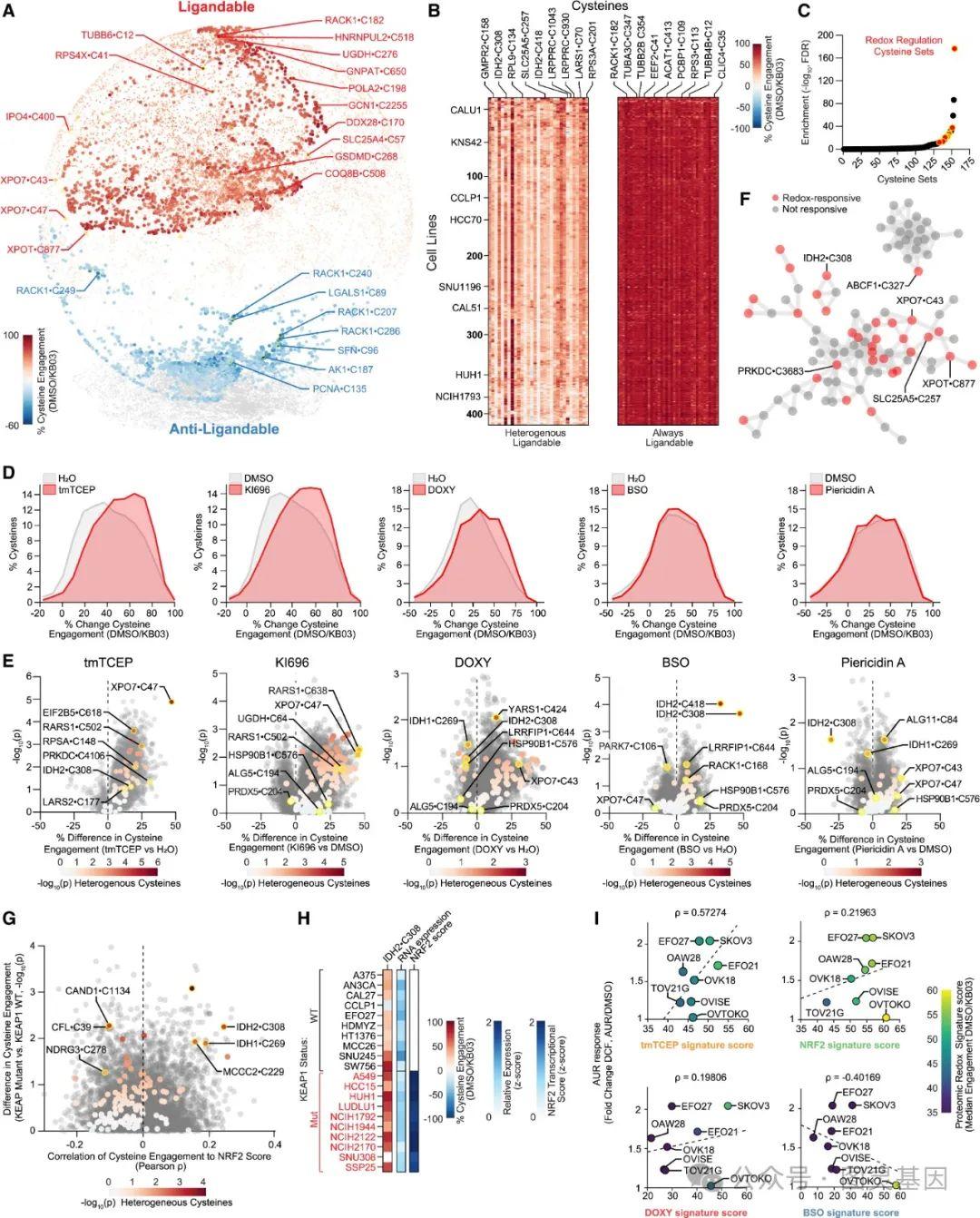 Cell ｜ 哈佛医学院开发DrugMap，系统识别可被共价抑制剂靶向的位点 - 知乎