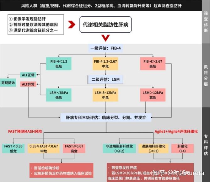 无创、快速的肝脏瞬时弹性成像技术：两种产品FibroScan与FibroTouch有何区别 - 知乎