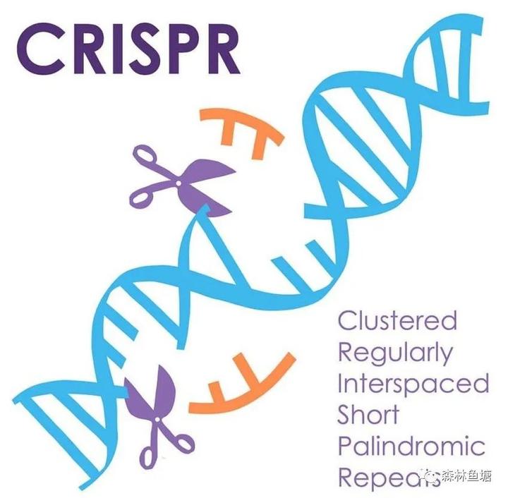 生命桥梁的修饰——RNA编辑技术的发展 - 知乎