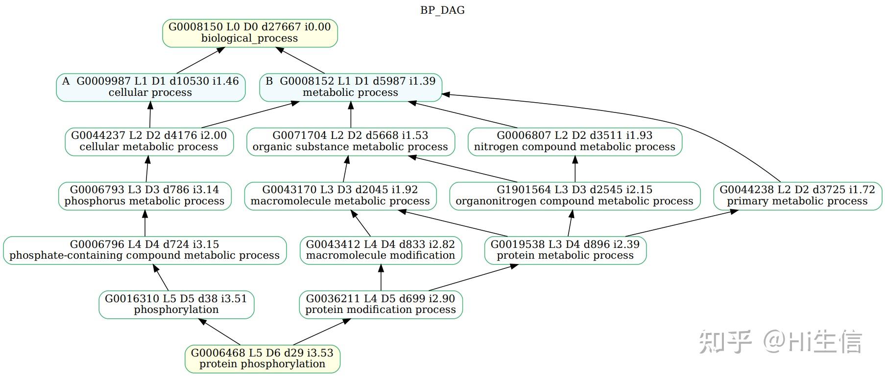 如何简单快速地完成一次GO富集分析 - 知乎