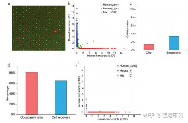 解除“背景噪音”烦恼，Well-paired-seq高通量单细胞测序技术文章发表，火速“出圈” - 知乎