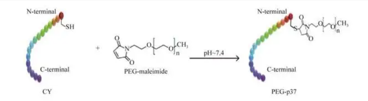 DSPE-PEG2000/PEG3400/PEG5000-iNGR 磷脂-聚乙二醇-iNGR多肽 - 知乎