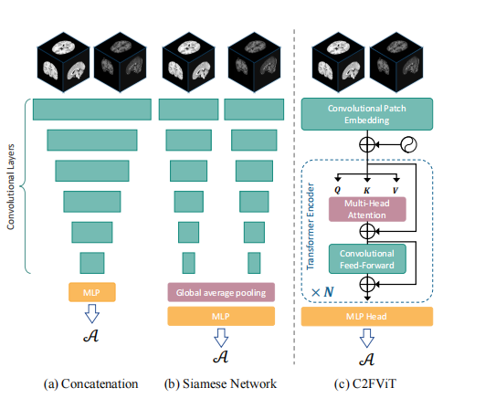 [论文] Affine Medical Image Registration with Coarse-to-Fine Vision Transformer - 知乎