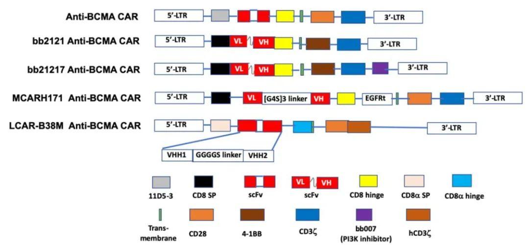 带你全面了解靶点BCMA（06） - 知乎