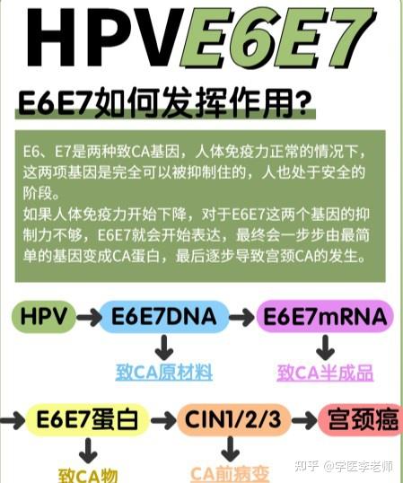 HPV E6E7 报告怎么看一篇讲明白 - 知乎