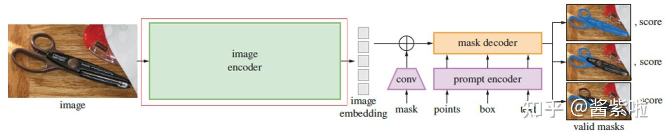 视觉自注意机制详解_Segment Anything Model (SAM) Encoder ——Vision Transforms(VIT ...