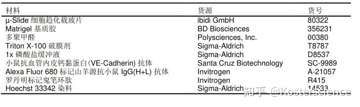 对 ibidi 3D 细胞趋化载玻片中的 HUVEC 细胞进行免疫荧光染色 - 知乎