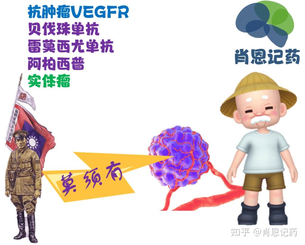 记住所有FDA生物药 | 抗肿瘤VEGFR | 贝伐珠单抗、雷莫西尤单抗、阿柏西普等 | 实体肿瘤 - 知乎