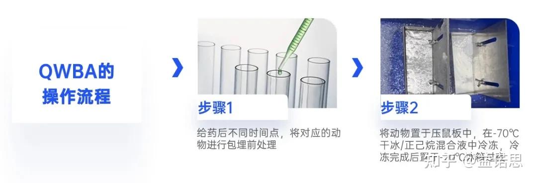 QWBA解决方案：助您快速得到可定量的精细的药物组织分布数据 - 知乎