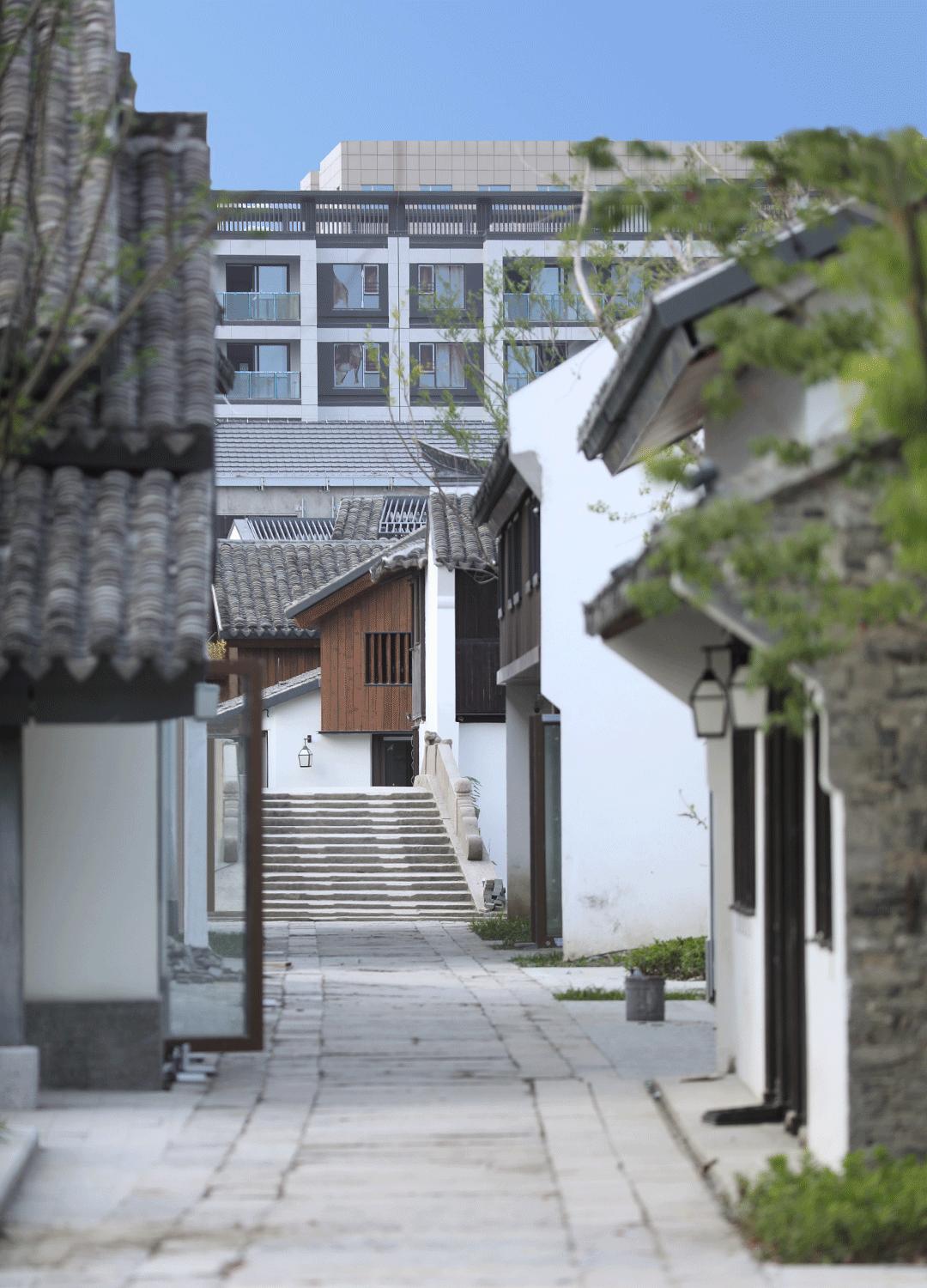 深一度｜蟠龙天地15大核心看点 - 知乎