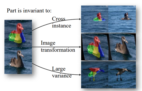 CVPR 2021 论文大盘点-图像分割篇 - 知乎