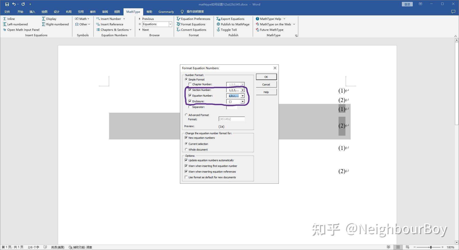 Mathtype中如何设置公式编号为1,2,(3a),(3b),4,5这类形式 - 知乎