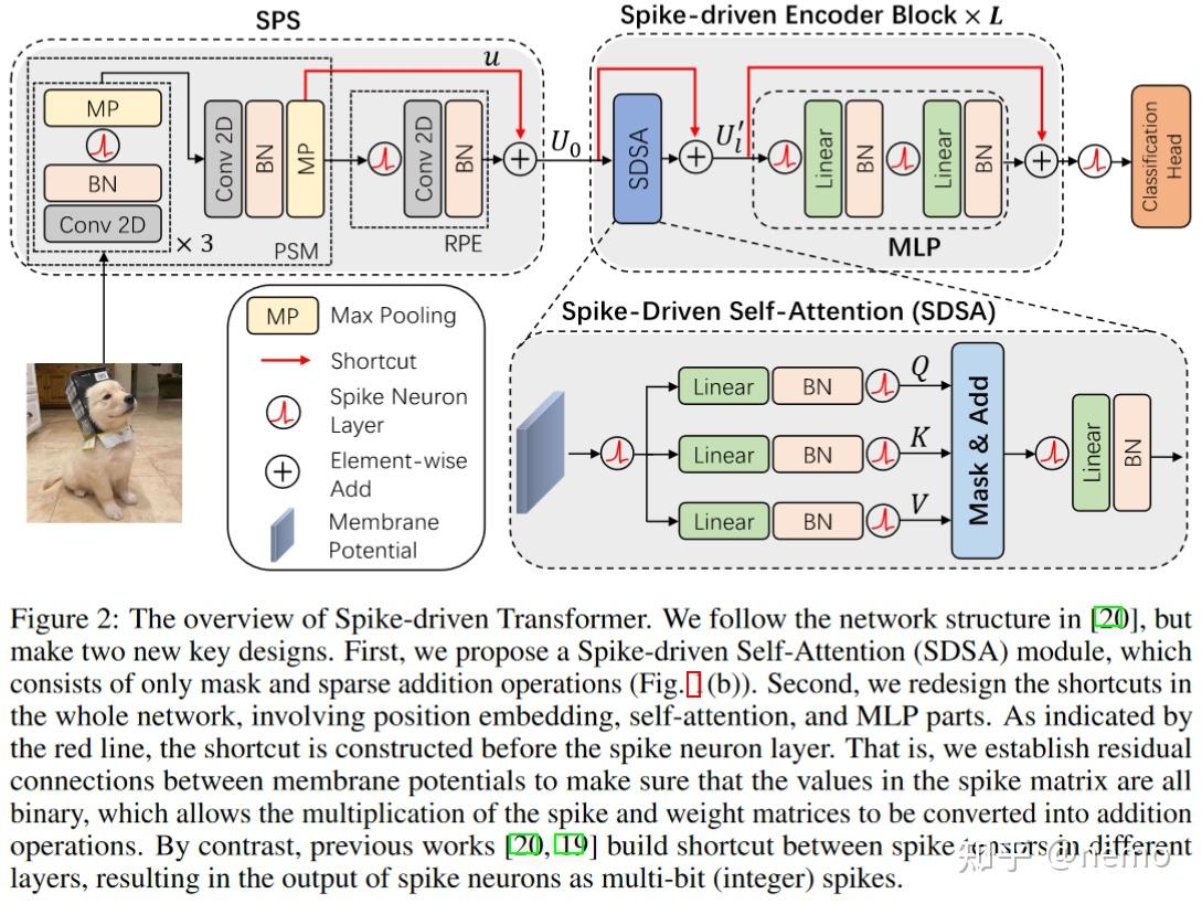 纯加法Transformer！结合脉冲神经网络和Transformer的Spike-driven Transformer （NeurIPS 2023） - 知乎