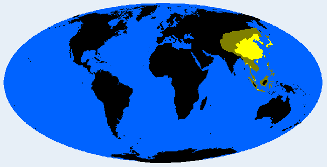 亚洲东部人群的典型外貌，来看看你属于哪一种吧！ - 知乎
