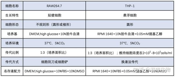 细胞学堂 | RAW264.7和THP-1细胞 - 知乎