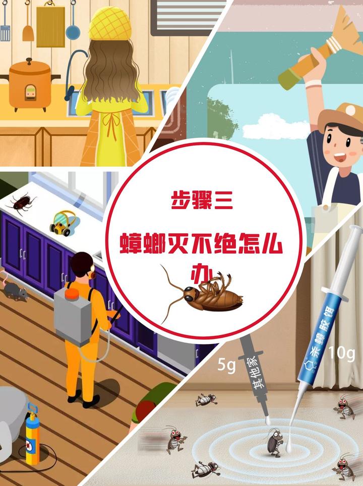 蟑螂灭不绝怎么办？ - 知乎