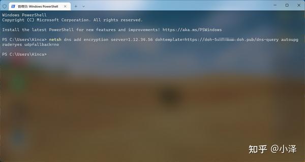 Windows 如何使用DNSPod DoH - 知乎