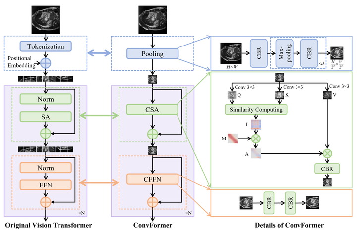 MICCAI 2023 | ConvFormer：改进医学图像分割的即插即用CNN式Transformer - 知乎