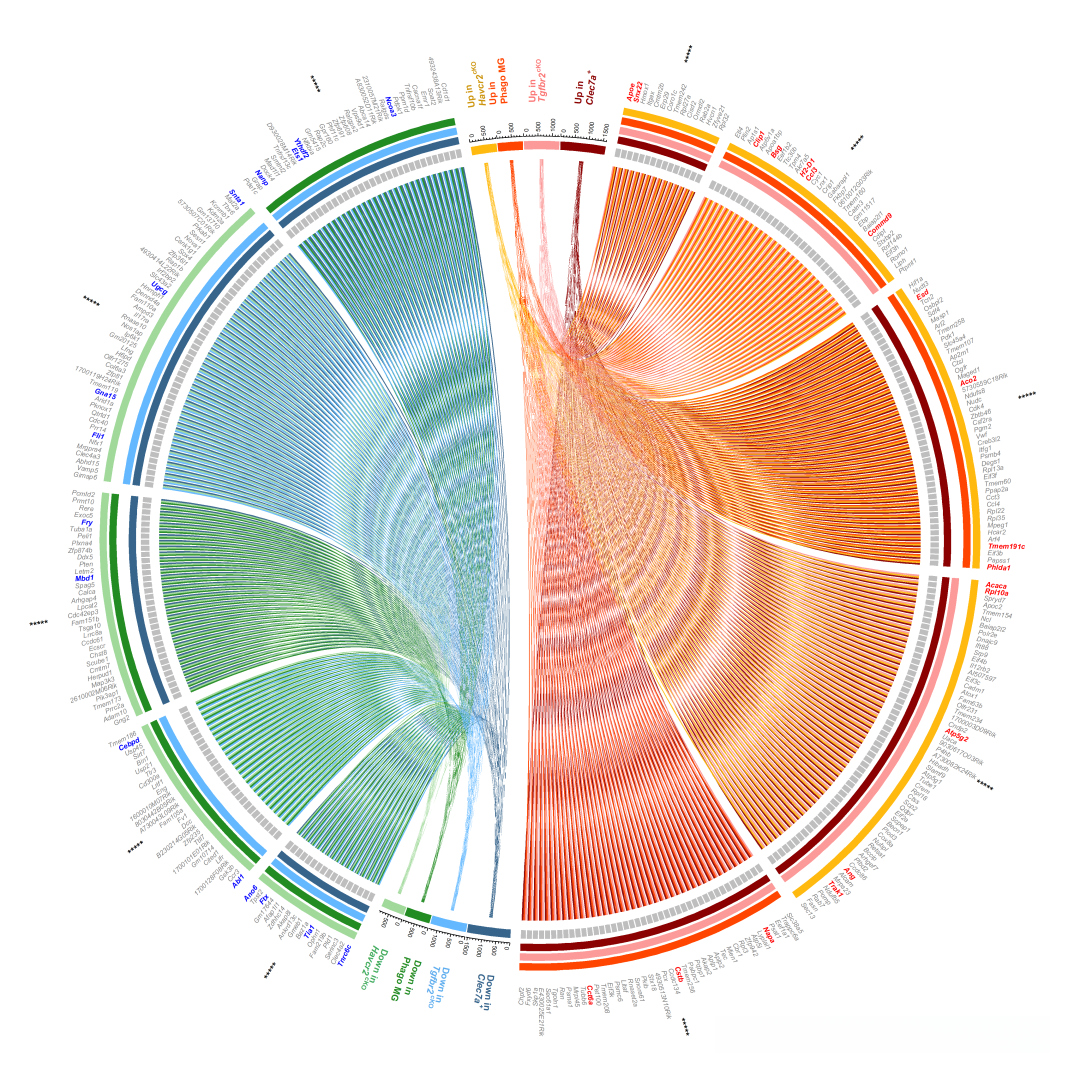 R绘图|复现哈佛医学院Nature高颜值弦图（Circos plot ）——基于R包circlize - 知乎