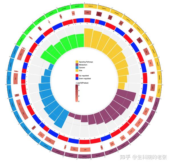 最全的GO, KEGG, GSEA分析教程(R),你要的高端可视化都在这啦！[包含富集圈图] - 知乎