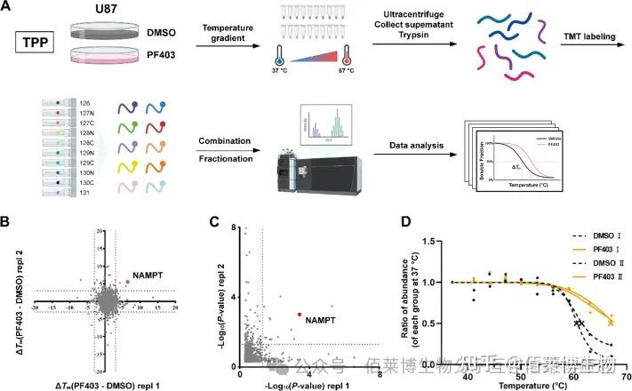 药物与蛋白互作：TPP热蛋白质组学+SPR+MST+ITC+CETSA+计算模拟揭示PF403作用靶点 - 知乎