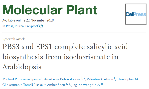Science、Mol Plant、JIPB多篇论文解析植物中水杨酸的完整生物合成途径！ - 知乎