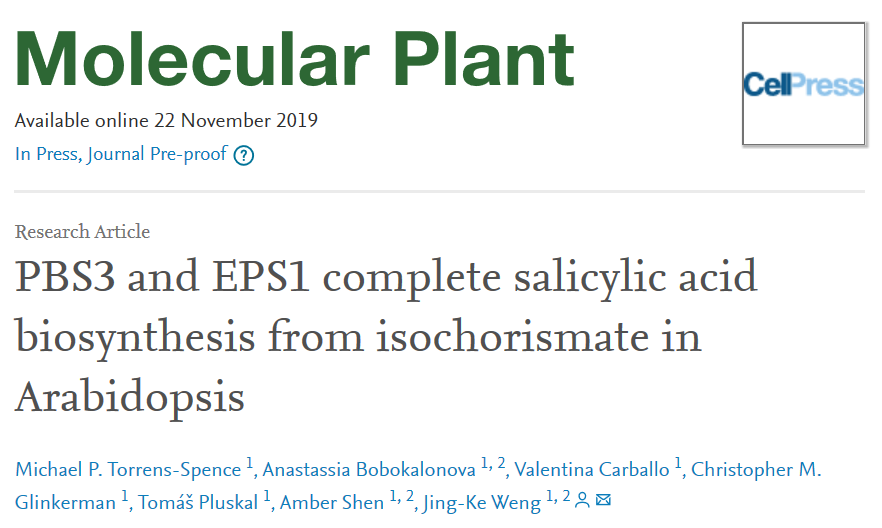 Science、Mol Plant、JIPB多篇论文解析植物中水杨酸的完整生物合成途径！ - 知乎