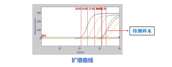 荧光定量PCR—定量篇 - 知乎