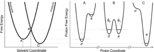《现代物理有机化学》笔记 第七章（4）复杂反应和Marcus理论的初步理解 - 知乎