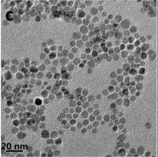 修饰PEG coating Fe3O4 nanoparticles（40nm）的一般过程 - 知乎