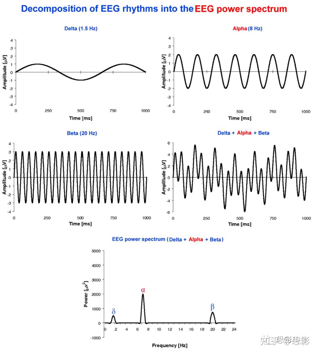 阿尔茨海默病临床试验中静息脑电节律的测量 - 知乎