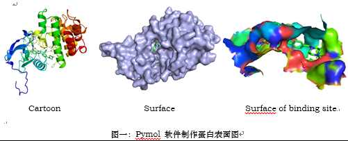CADD--PDB数据库--Sybyl--Schrodinger--Pymol--AutoDock--3D-QSAR--蛋白结构分析 ...