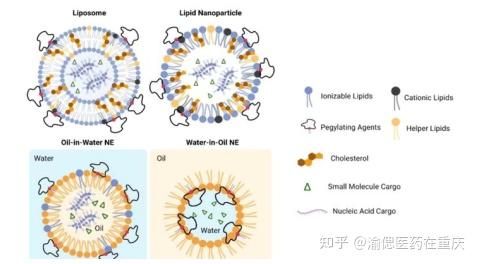 阳离子脂质体DOTMA和DOTAP的区别有哪些？ - 知乎