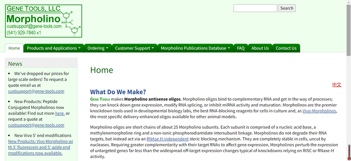 Gene Tools｜Morpholino的基因敲降原理简析 - 知乎