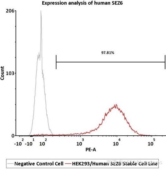 【靶点聚焦】小细胞肺癌新希望！SEZ6-ADC疗法大有可为 - 知乎