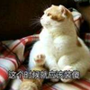 如何评价罗肖尼Shawney关于英语学习的视频？ - 知乎