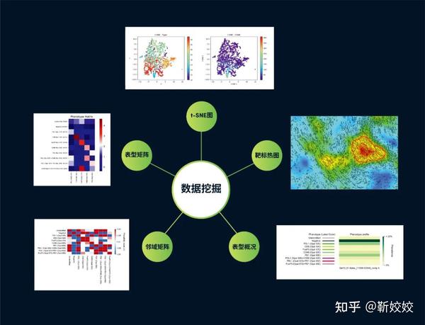 Visiopharm AI驱动多重免疫荧光表型分析：在空间环境中捕捉细胞多样性 - 知乎